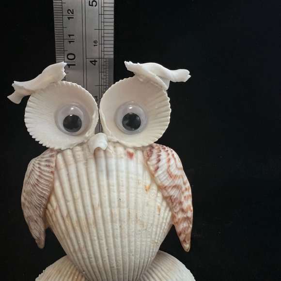 G Gwen | Accents | Sea Shell Wise Owl Bird Art Sculpture Farmhouse Boho ...